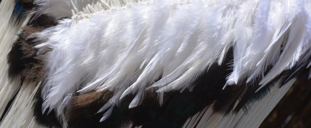 Weaving – Kiri Nathan